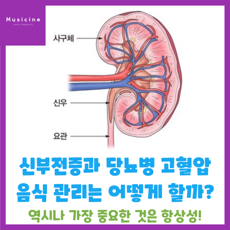 만성 신부전증 환자 신장투석 중 음식 관리는 이렇게 하세요 네이버 블로그