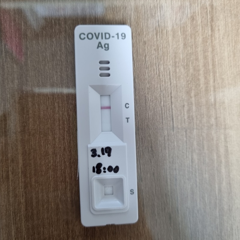 코로나19확진 코로나19확진 격리일기6 자가진단키트 음성격리해제생활지원금유급휴가비용확진자 재감염 네이버 블로그