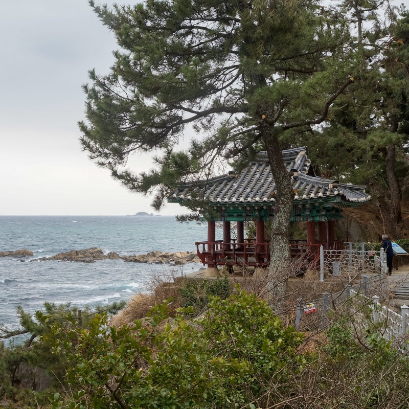강원도 고성가볼만한곳 고성8경 천학정과 문암해변 능파대 네이버 블로그