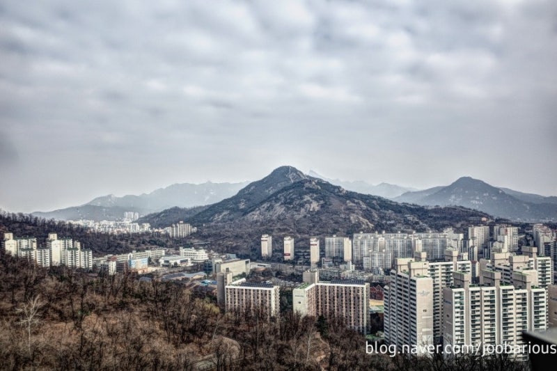 서대문 안산자락길 서대문주차장 메타세콰이어 숲이 있는 서울걷기좋은길 네이버 블로그