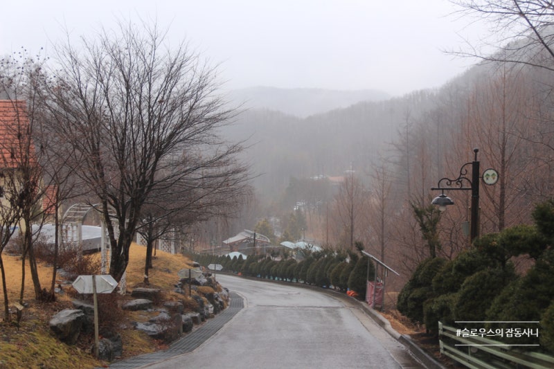 국내보은여행 충북 알프스 자연휴양림 네이버 블로그