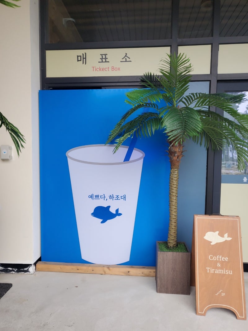 양양 하조대 카페 예쁘다하조대 핫플 추천 예쁜 카페 커피 맛집 전망대 서퍼비치 해수욕장 네이버 블로그