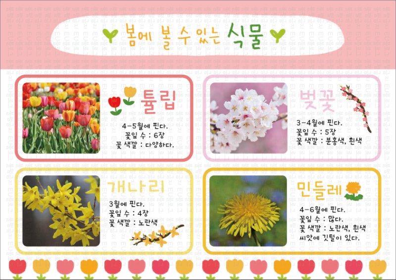 어린이집 유치원 봄 벽보자료 공유 봄에 볼 수 있는 식물 네이버 블로그