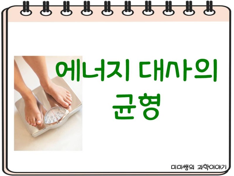 수업계획 물질대사와 건강 기초 대사량 활동 대사량 대사성 질환 등 네이버 블로그
