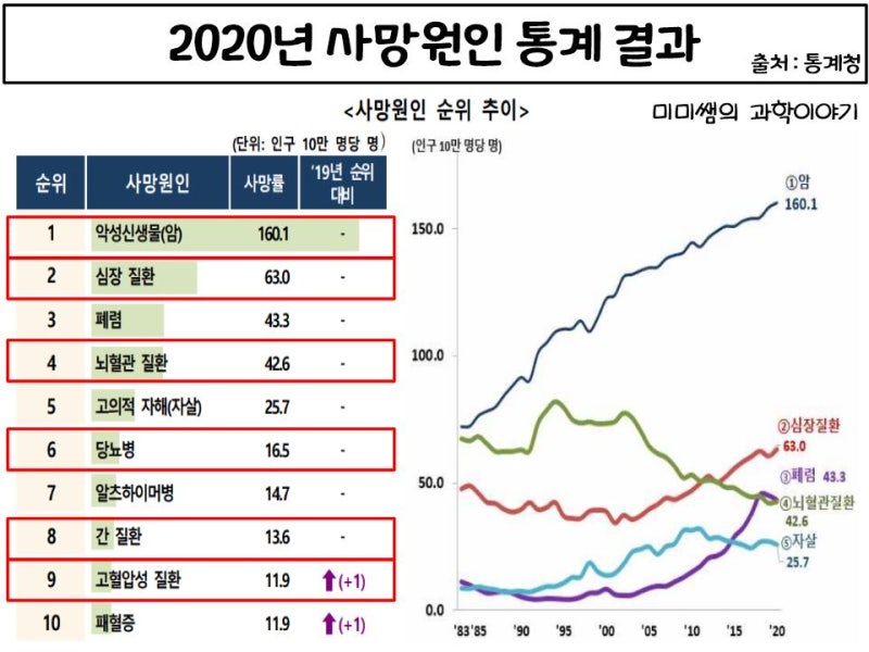 수업계획 물질대사와 건강 기초 대사량 활동 대사량 대사성 질환 등 네이버 블로그