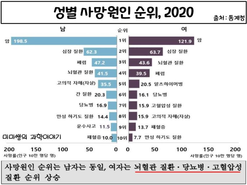 수업계획 물질대사와 건강 기초 대사량 활동 대사량 대사성 질환 등 네이버 블로그