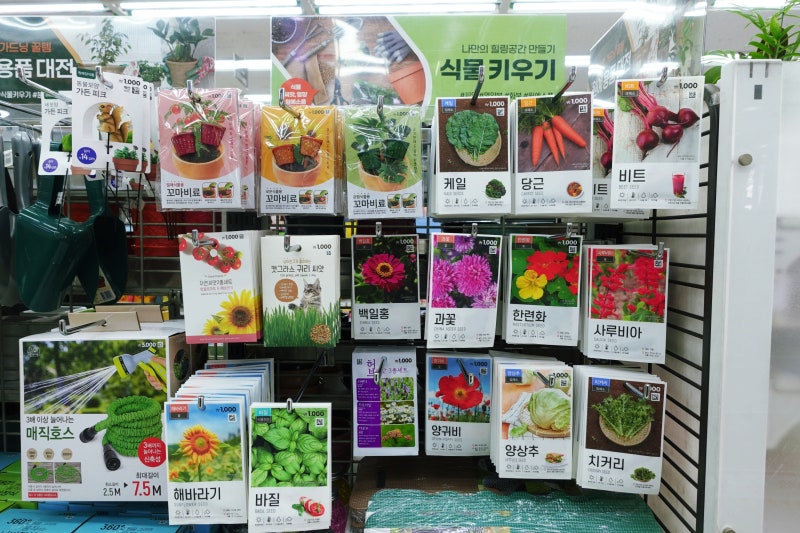 다이소 씨앗 어떤 걸 심을까 한련화 오이 비트 적상추 허브 3종 세트 외 네이버 블로그