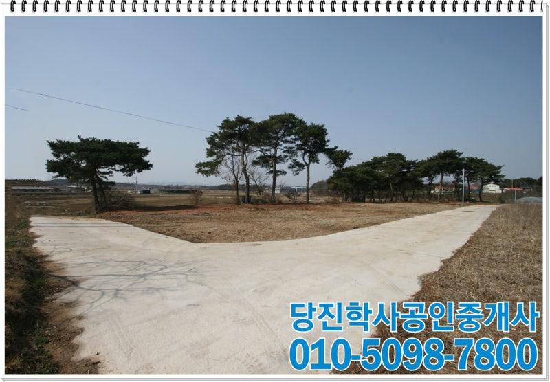 당진 토지매매 당진시 송악읍 전대리 91평~139평 조성완료 남향토지 평당 30~50만원 전원주택지 추천