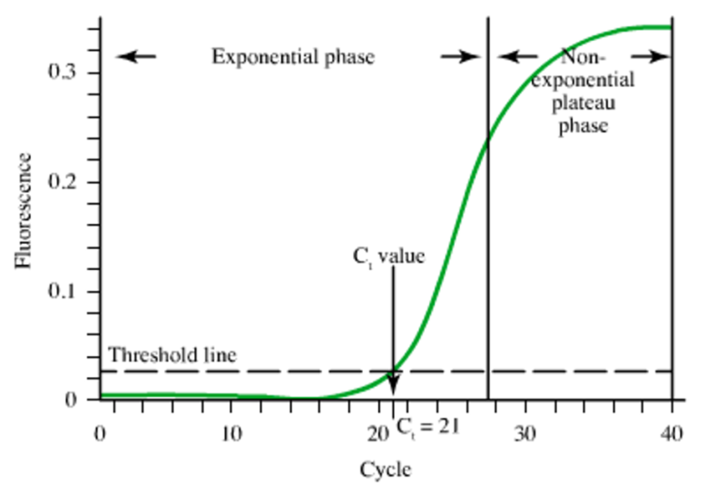 Real-Time PCR, Ct값, Standard Curve : 네이버 블로그