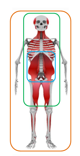 Proximal stability 에 관해서 1/3 : 네이버 블로그