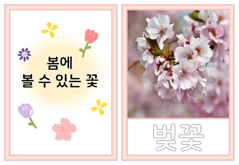 포도쌤자료나눔♡ 봄 꽃 카드 봄 꽃 따라쓰기 봄꽃사진 봄에피는꽃 봄에 볼 수 있는 꽃 봄 꽃 언어카드 봄꽃게시