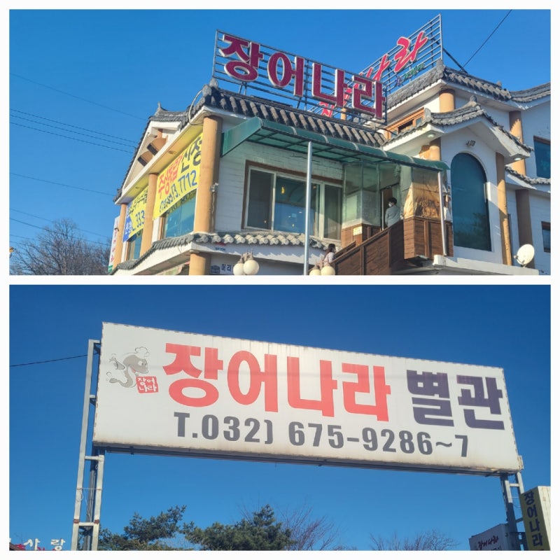 풍천장어의 유래와 효능부천 장어나라 별관 진심 맛집 네이버 블로그