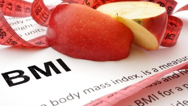 비만도 여자 Bmi 남자 Bmi 정상 범위 계산 【bmi지수 체질량지수 체지방 체지방률】 네이버 블로그