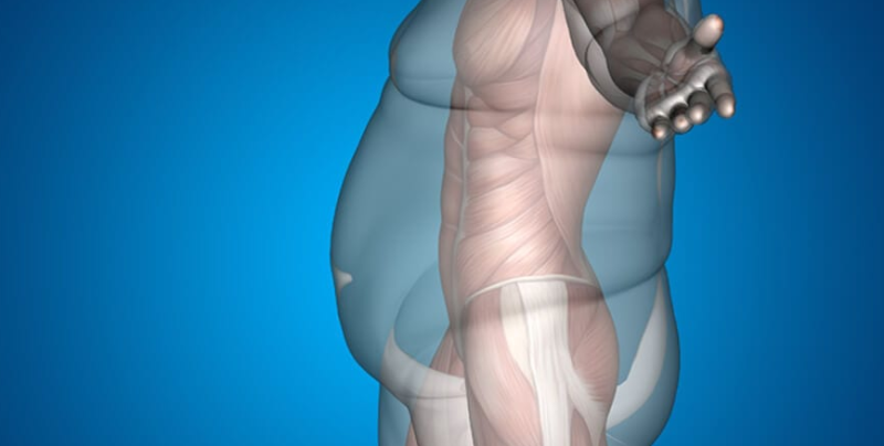 비만도 여자 Bmi 남자 Bmi 정상 범위 계산 【bmi지수 체질량지수 체지방 체지방률】 네이버 블로그