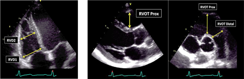 RV function : 네이버 블로그