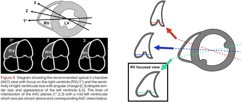 RV function : 네이버 블로그