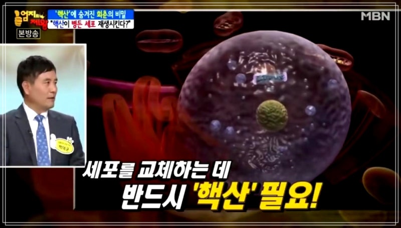 피부 붉은반점 증상 체리혈관종성인 자반증 네이버 블로그