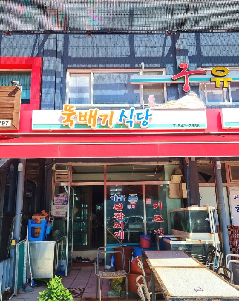 전남고흥 고흥 녹동항 밥집 추천 해물된장뚝배기 맛집 뚝배기식당 네이버 블로그