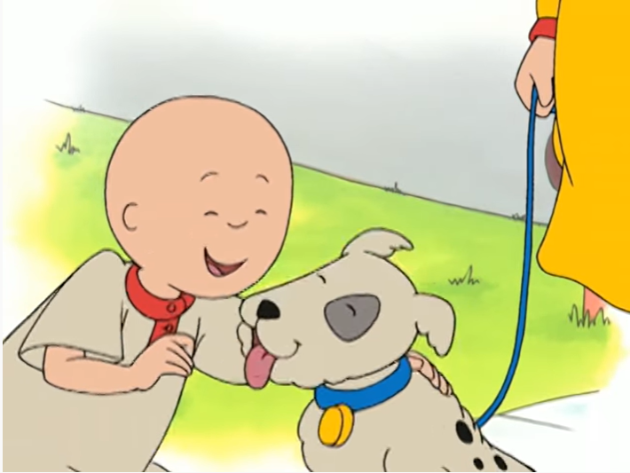 [까이유DVD대본] 1-50 Caillou Walks a Dog : 네이버 블로그
