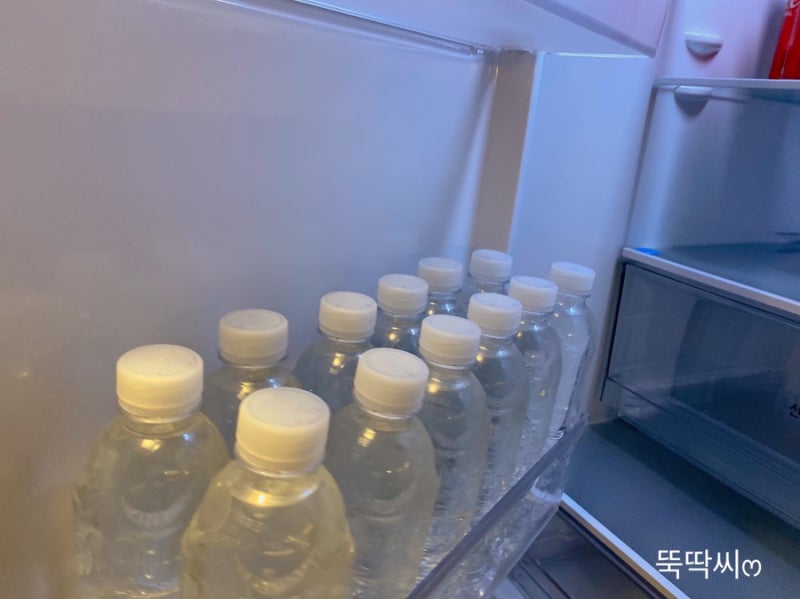 제주도 호텔은 무조건 이곳! 파르나스호텔제주(PARNAS HOTEL JEJU) 클럽 프레지덴셜 스위트룸 내돈내산 숙박 후기 ...