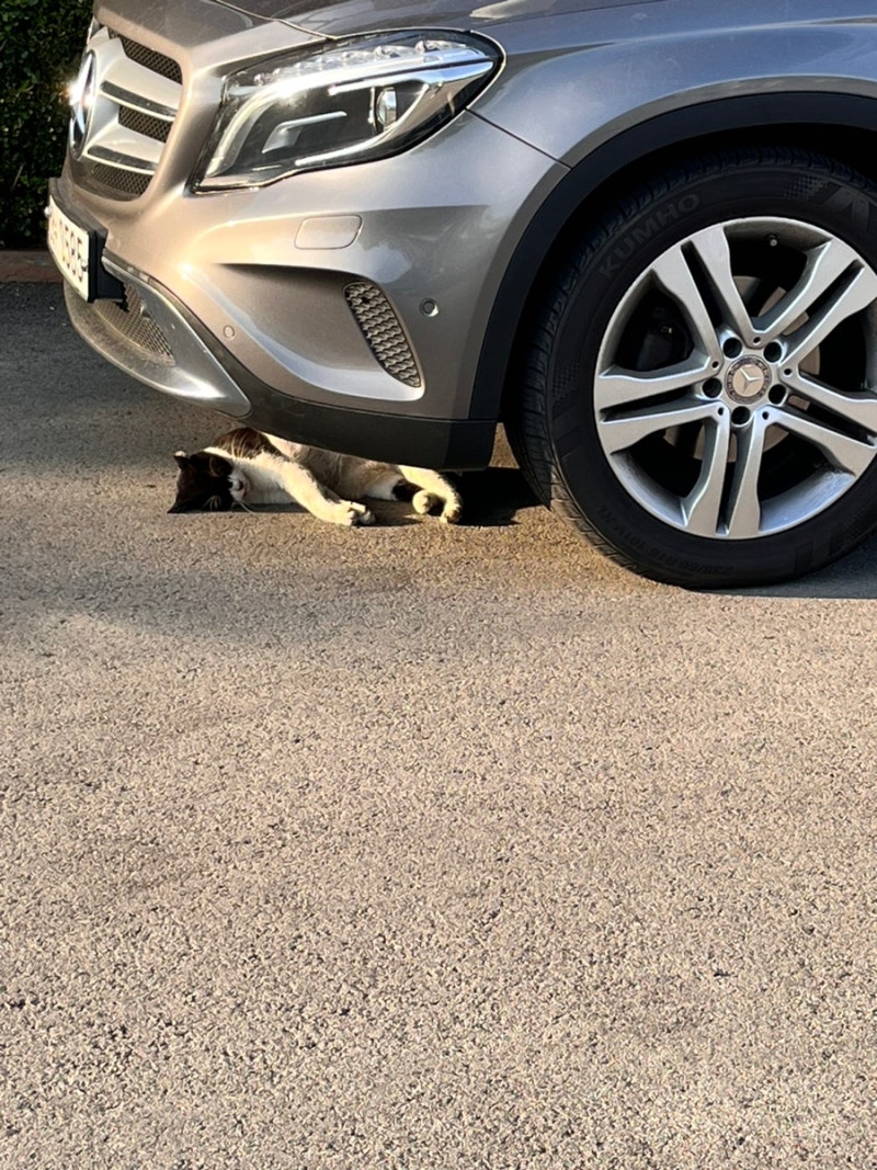 마왕족발 보쌈 오랜만에 먹었어요 : 네이버 블로그