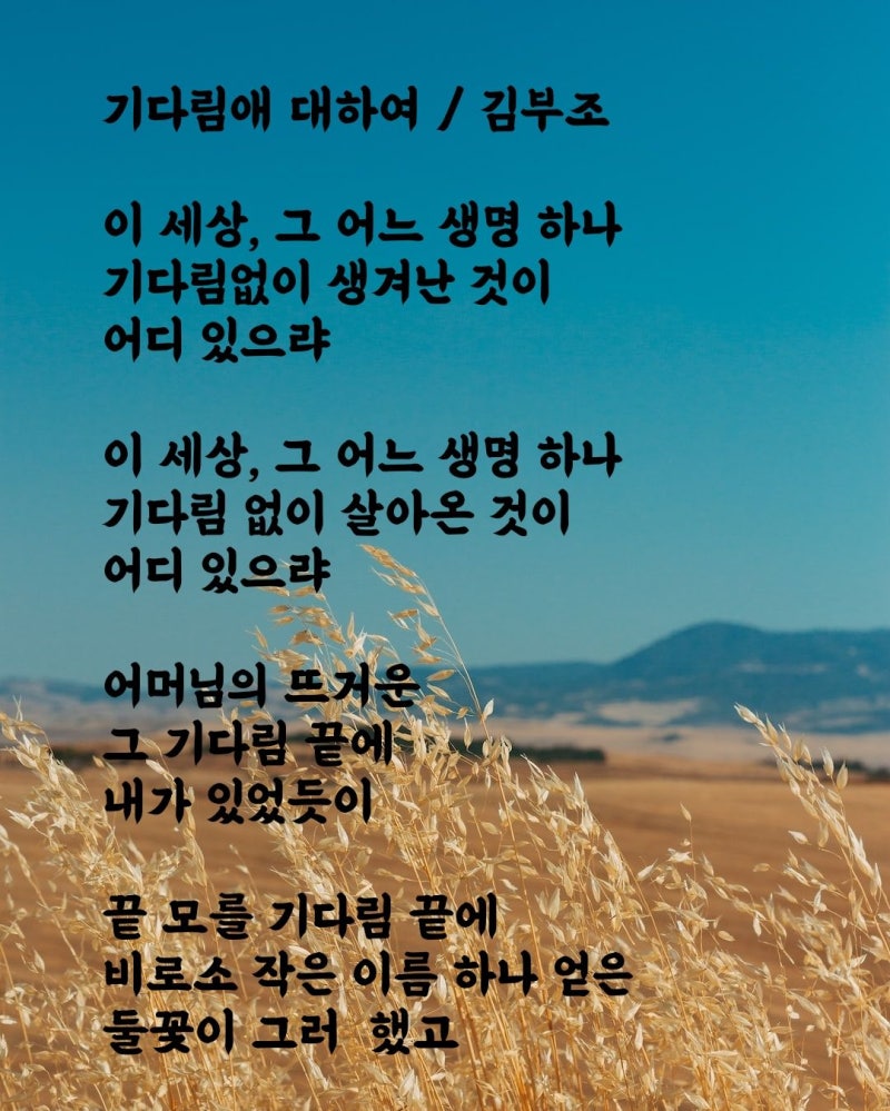 [블챌] 주간일기 챌린지 - 김부조 시인- 나다움 감사 - MKYU - 그로우 7짹 : 네이버 블로그