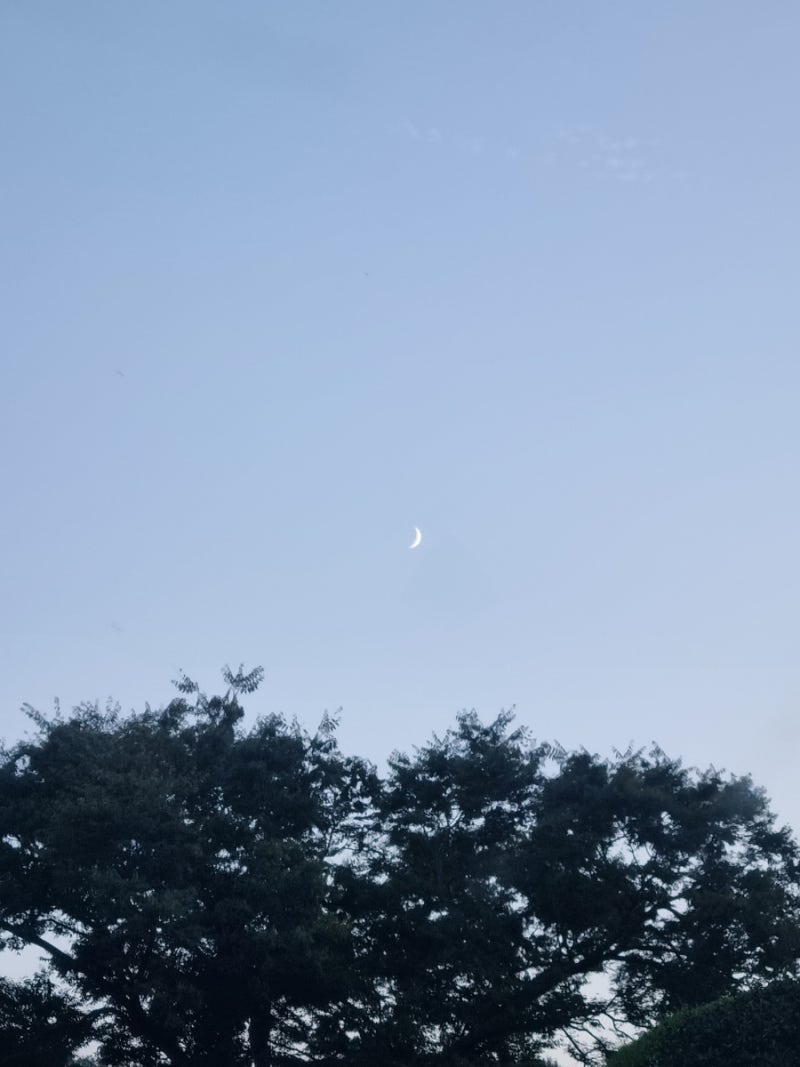 MKYU 굿짹월드 514챌린지 | 10월 서약서 그리고 10월 1일 성공 L.E.E.하자 리휴먼 1세대 : 네이버 블로그