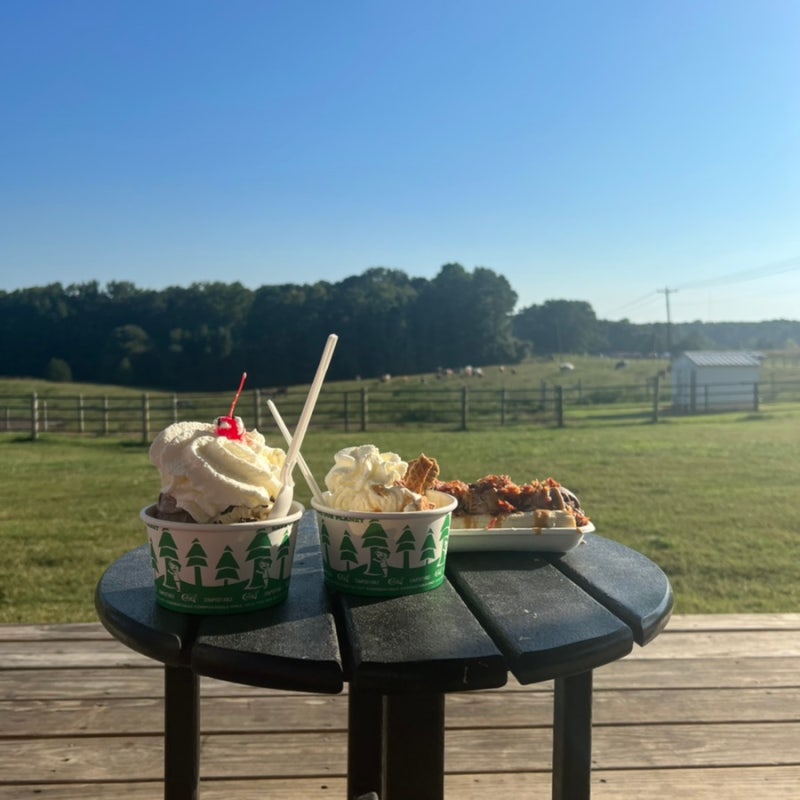 노스캐롤라이나 일상 | 우유 아이스크림과 평화로운 목장의 Howling Cow Dairy Education Center and ...