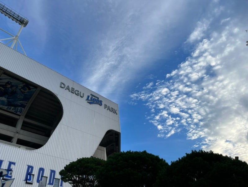 ⚾️야구직관 22 9⚾️ 대구삼성라리온즈파크 땅땅치킨루프탑 3열 아기사자데이 파우치 외야자리 시야 등 네이버 블로그