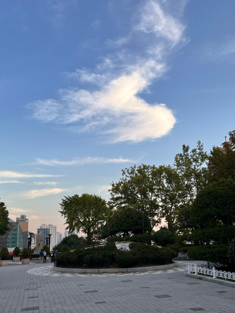 마왕족발 보쌈 오랜만에 먹었어요 : 네이버 블로그