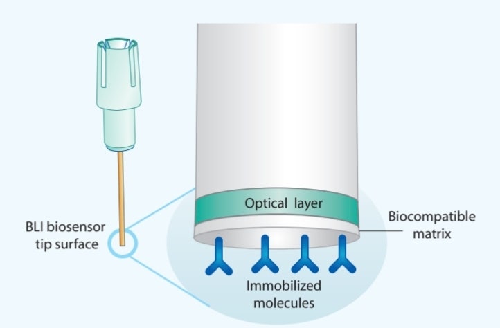 [단백질 분석법] BLI 기법과 결합 친화도(Binding affinity) : 네이버 블로그