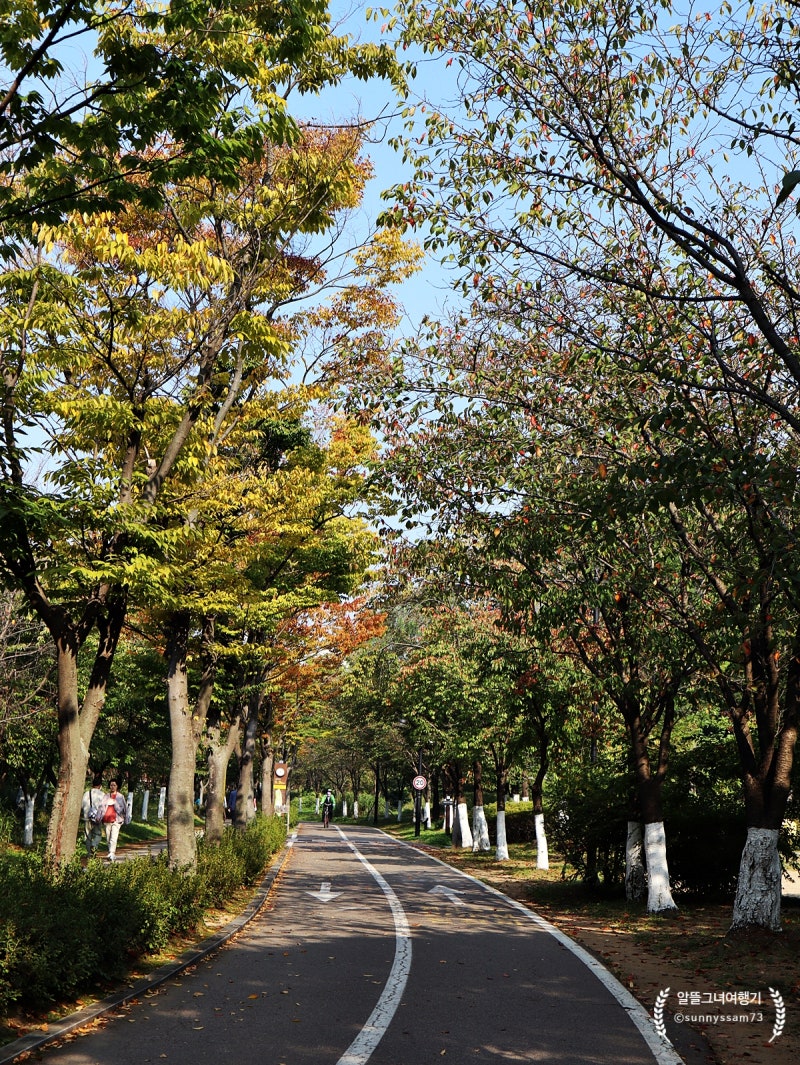 경기도 가을여행지 고양가을꽃축제가 열리는 일산호수공원 산책 네이버 블로그