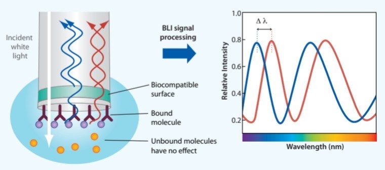 [단백질 분석법] BLI 기법과 결합 친화도(Binding affinity) : 네이버 블로그