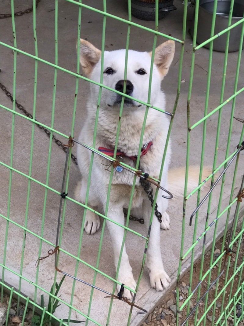 9월 : 네이버 블로그