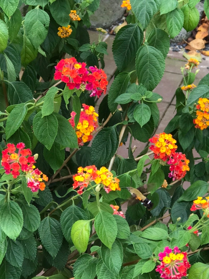 9월 : 네이버 블로그