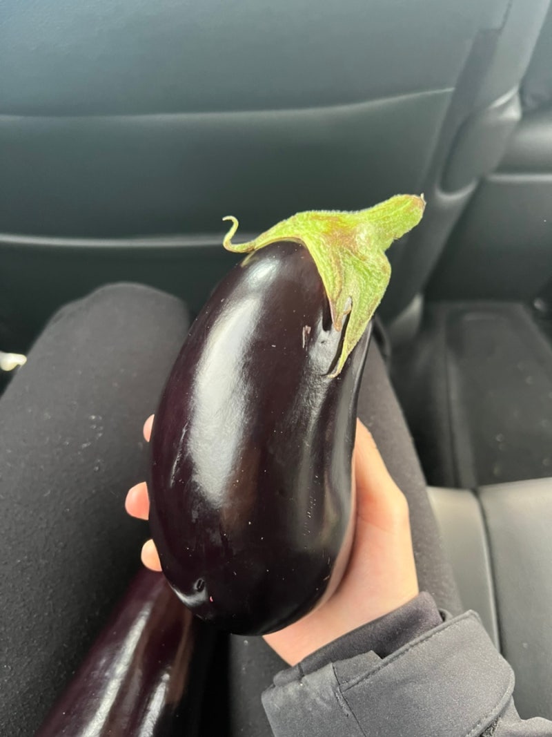 [영국워홀 D+43] 다시 이사가기 / 미아언니 ️ / 나의 작은 정원 / 별 거 없는 일상일기 : 네이버 블로그