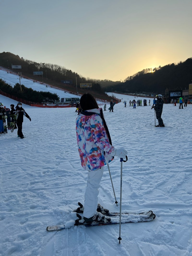 X4시즌패스 강원도스키장 용평리조트 하이원 웰리힐리파크 오크밸리 시즌권 나왔어요 네이버 블로그