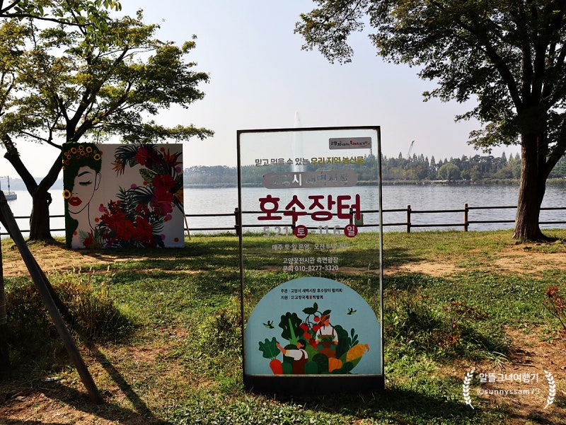 경기도 가을여행지 고양가을꽃축제가 열리는 일산호수공원 산책 네이버 블로그