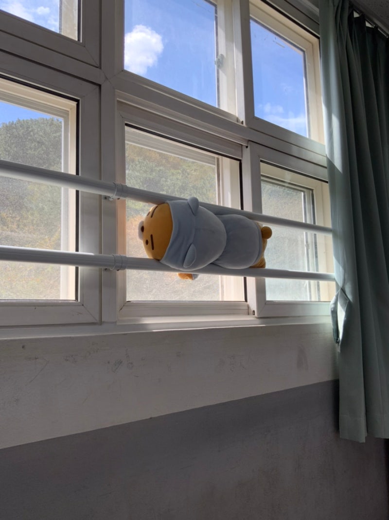 9월 : 네이버 블로그