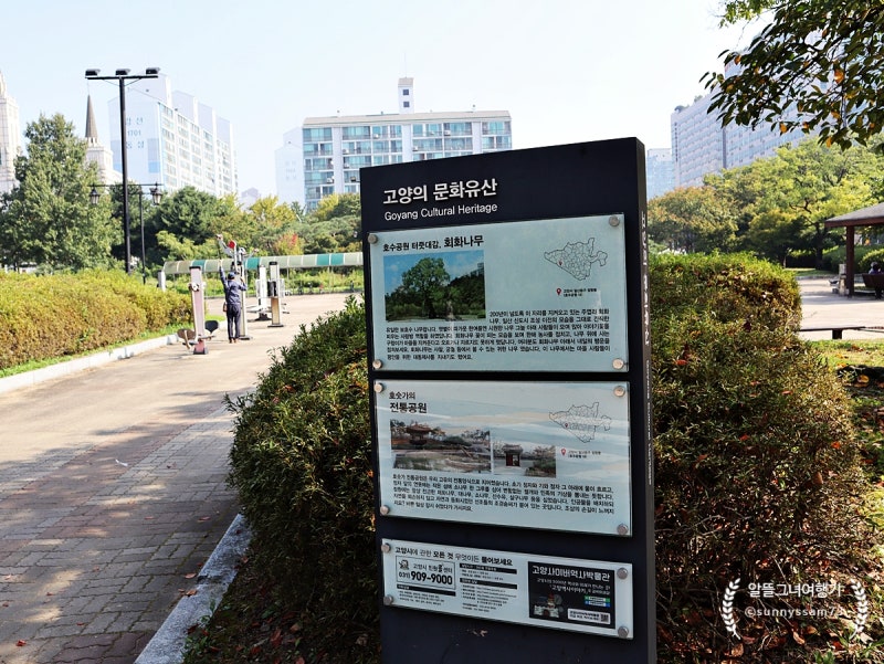 경기도 가을여행지 고양가을꽃축제가 열리는 일산호수공원 산책 네이버 블로그