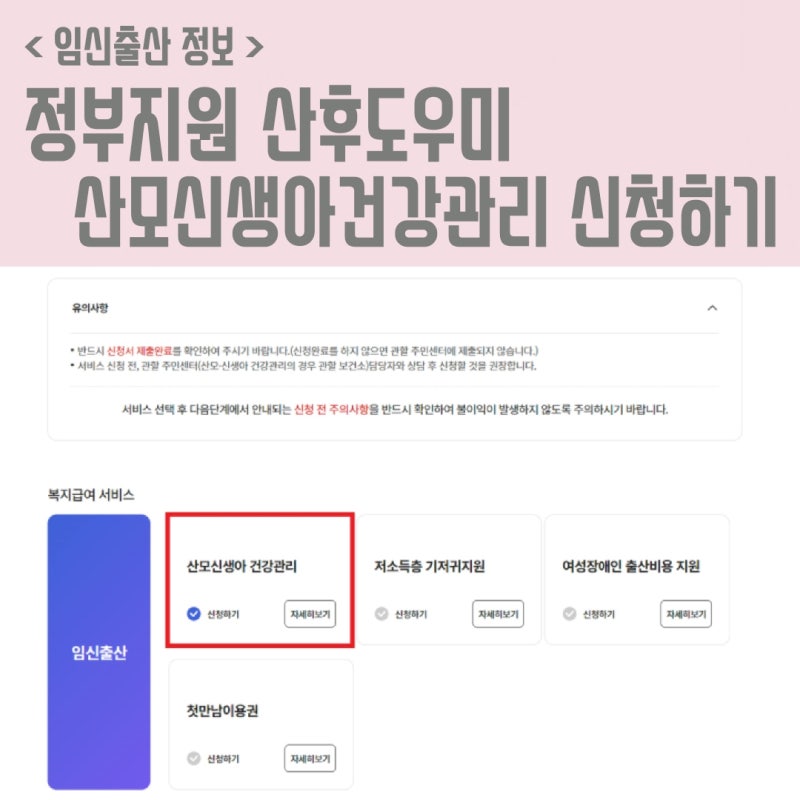 정부지원 산후도우미 온라인 복지로 신청방법 산모신생아 건강관리 지원사업 2022년 정부지원금 본인부담금 네이버 블로그
