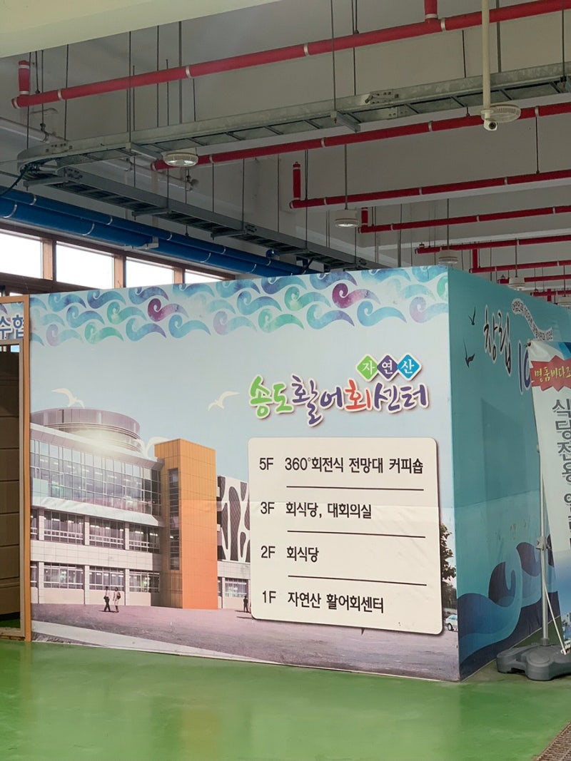 포항맛집 자연산회 가성비 좋은 포항수협송도활어회센터 네이버 블로그