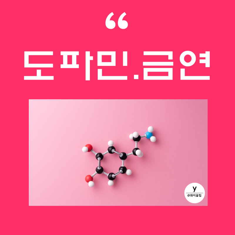 도파민 중독 금연 효과 니코틴 금연약 보조제 챔픽스 담배 금단 증상 현상 패치 껌 검사기 약국 금연초 액상 궐련형 전자담배