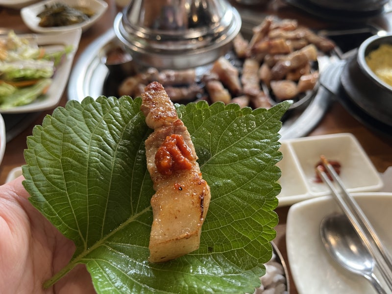 서울삼성 맛집 탐라도야지 •삼성역 회식장소 추천 교차 숙성하는 돼지고기 맛집 네이버 블로그