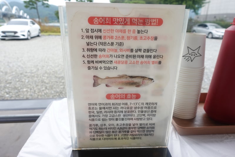 경기 양평 횟집 두물머리 맛집 양수리 송어횟집 맛도 맛집 뷰도맛집 네이버 블로그