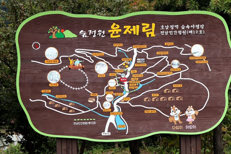 보성 윤제림 팜파스 핑크뮬리 정원 네이버 블로그