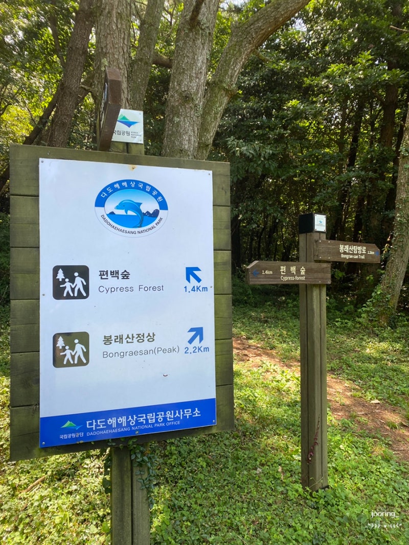 전남 고흥 나로도 여행 봉래산 등산코스 나로도 편백숲 솔직 후기 네이버 블로그