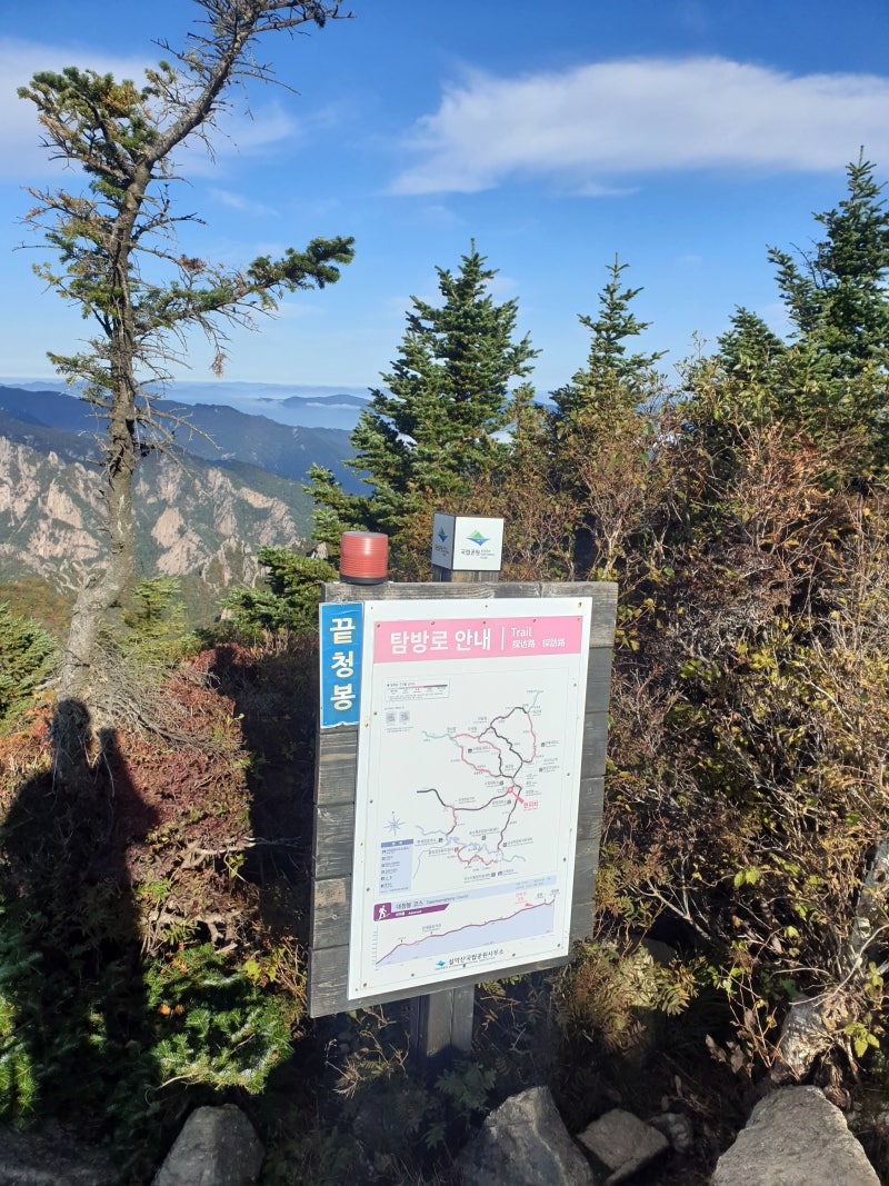 설악산 한계령휴게소 서북능선 중청대피소 대청봉 산림청 100대 명산 7 네이버 블로그