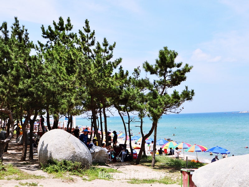 강릉 해변 카페 투어 안목해변 강문해변 경포해변 카페 Aura 아우라까지 네이버 블로그