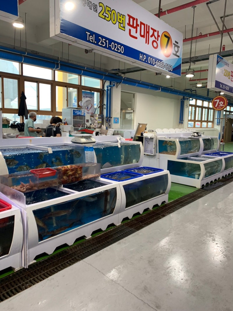 포항맛집 자연산회 가성비 좋은 포항수협송도활어회센터 네이버 블로그